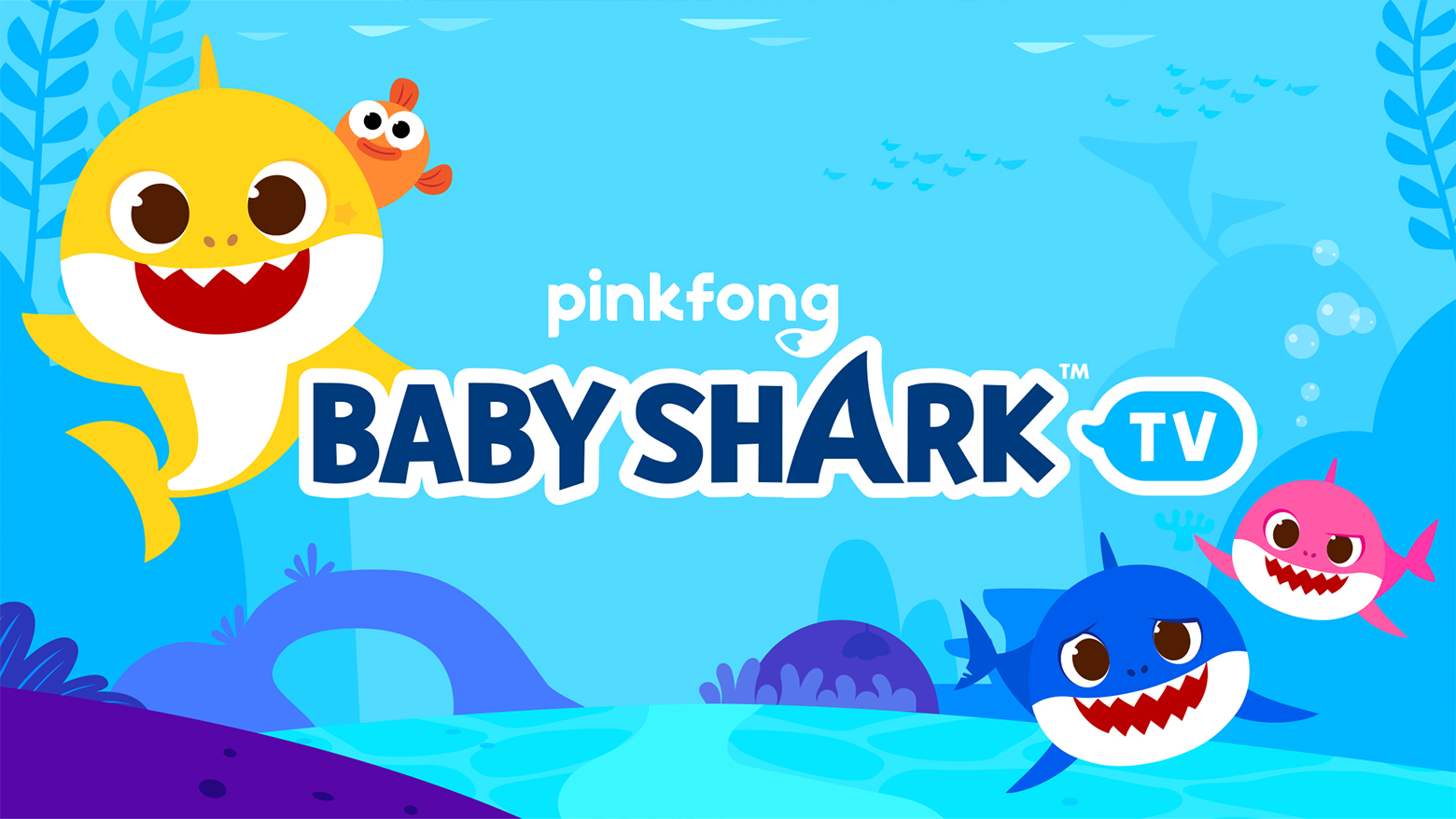 Ver Baby Shark TV: Canal de TV en vivo gratis | Pluto TV