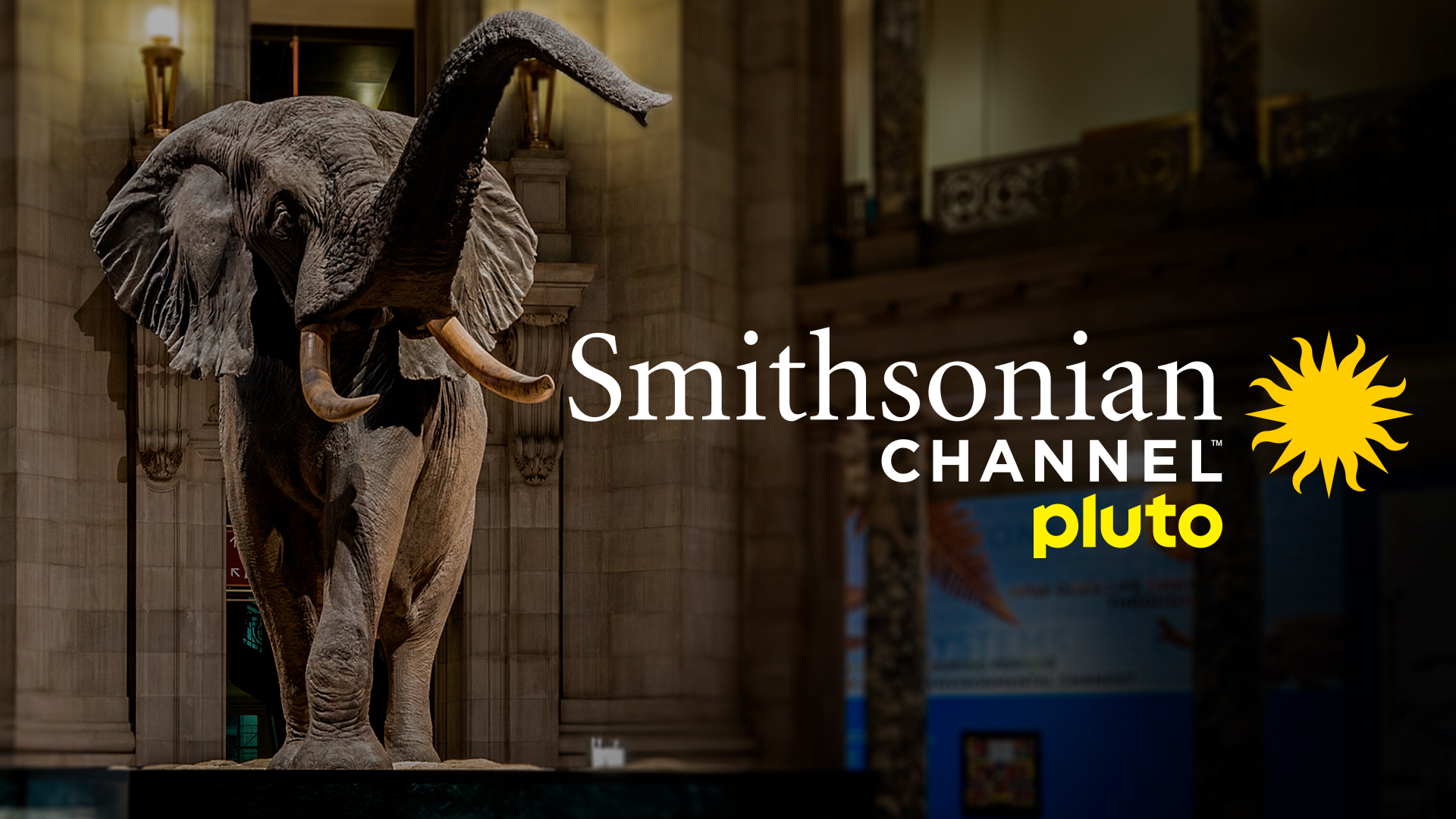 Ver Smithsonian Channel Pluto TV: Canal de TV en vivo gratis | Pluto TV