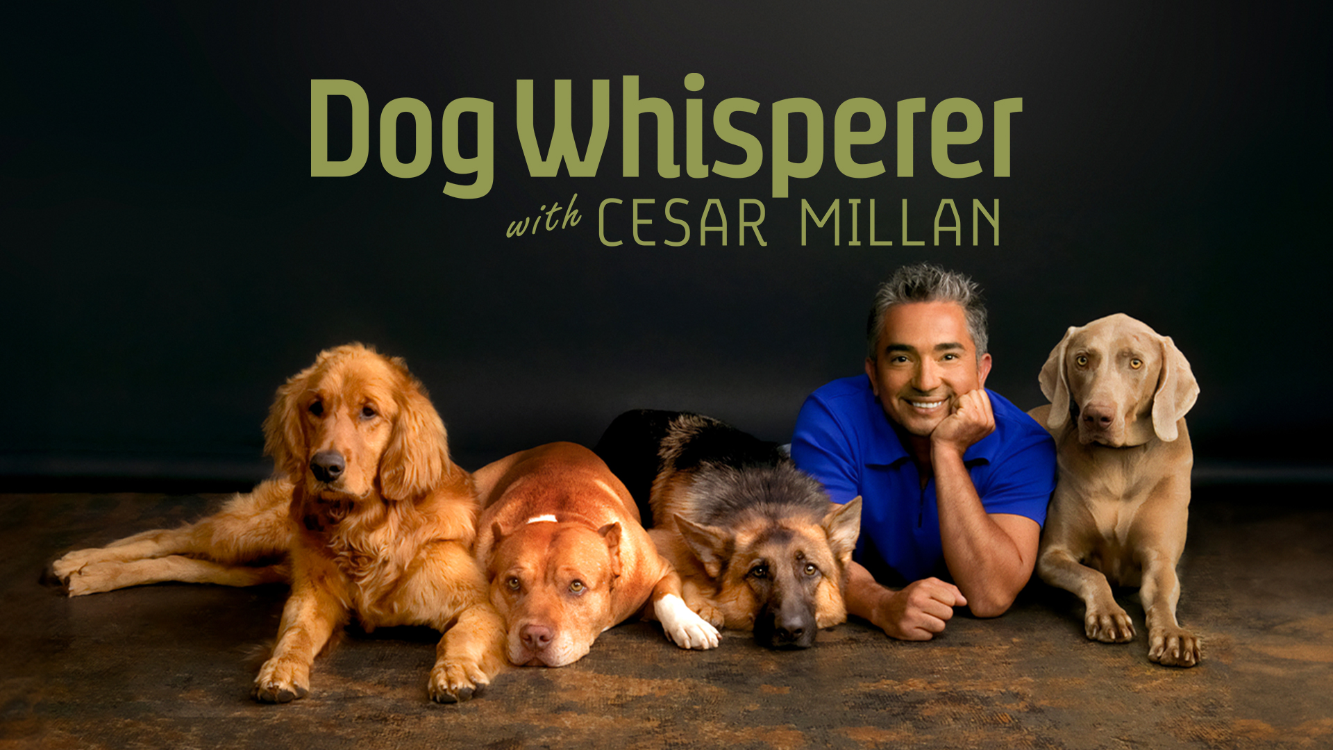 Watch Dog Whisperer with Cesar Millan: Live TV Channel for Free | Pluto TV