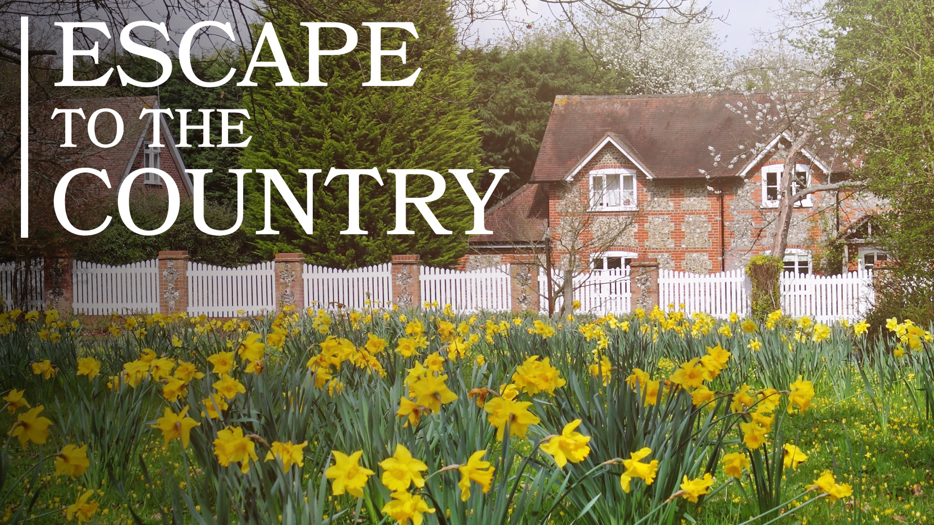 Se Escape to the Country: Live-tv-kanaler gratis | Pluto TV