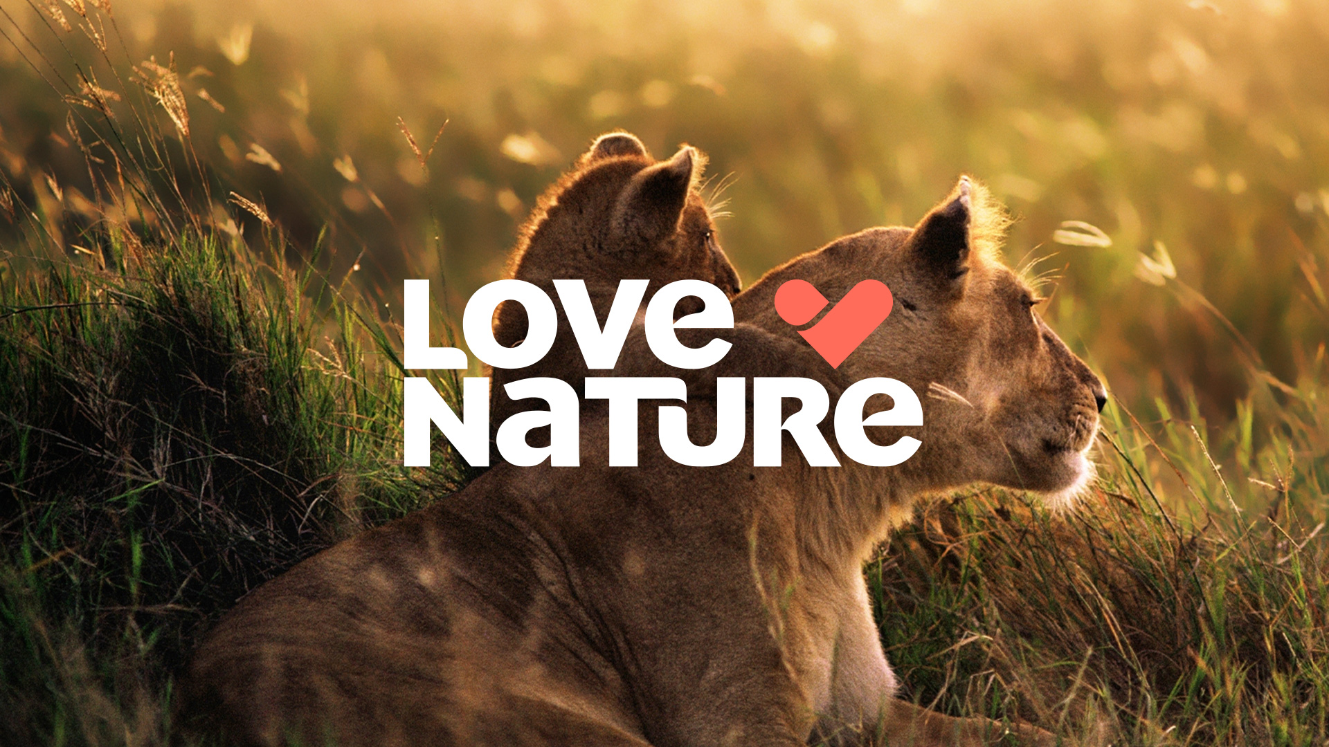 Watch Love Nature: Live TV Channel for Free | Pluto TV