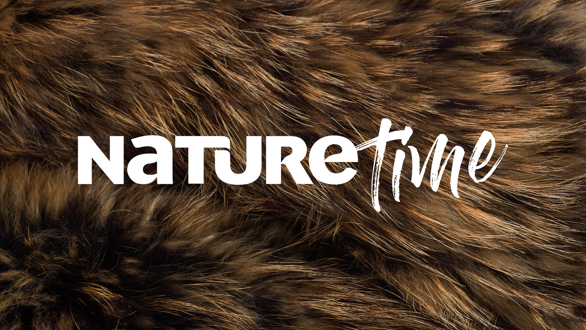 Ver NatureTime: Canal de TV en vivo gratis | Pluto TV