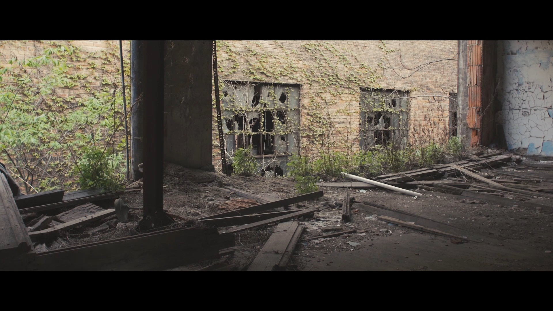 Watch The Coming Convergence for Free Online | Pluto TV