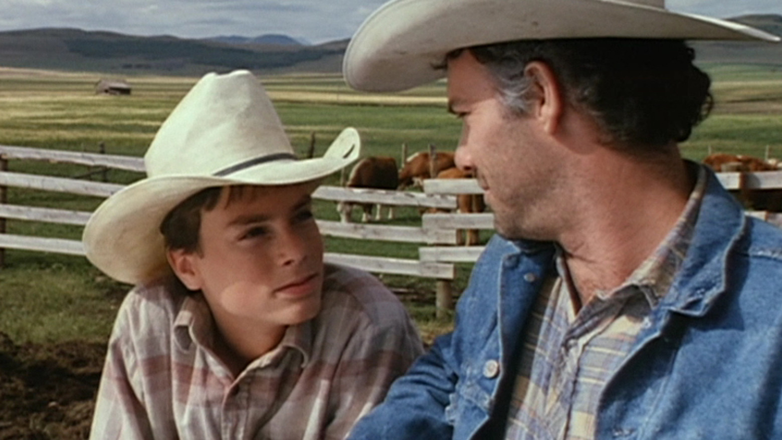 Watch Cowboys Don't Cry for Free Online | Pluto TV