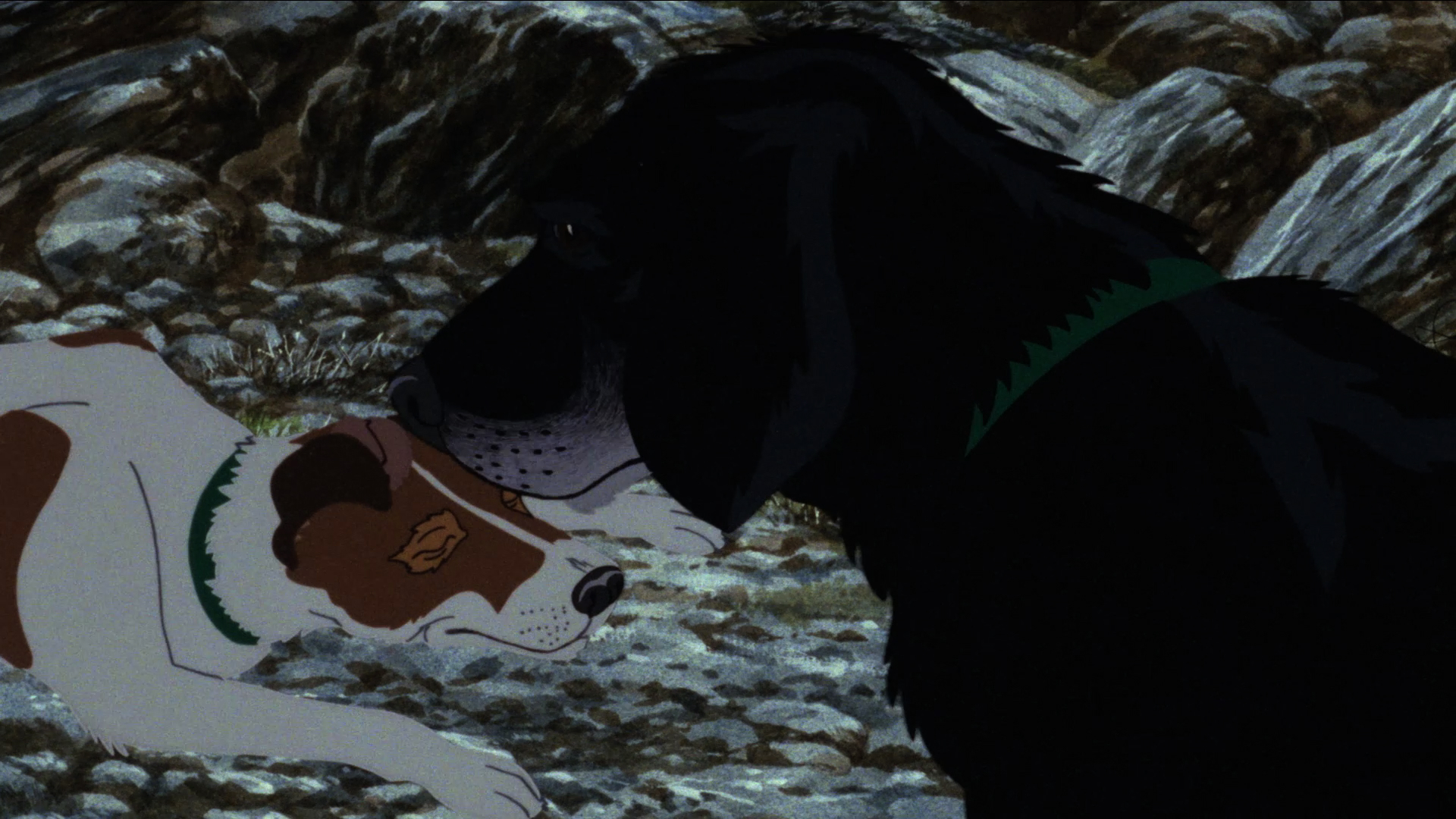 Watch The Plague Dogs for Free Online | Pluto TV