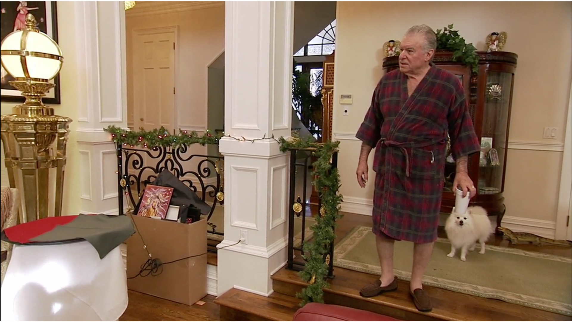 Watch Queen of Versailles for Free Online | Pluto TV