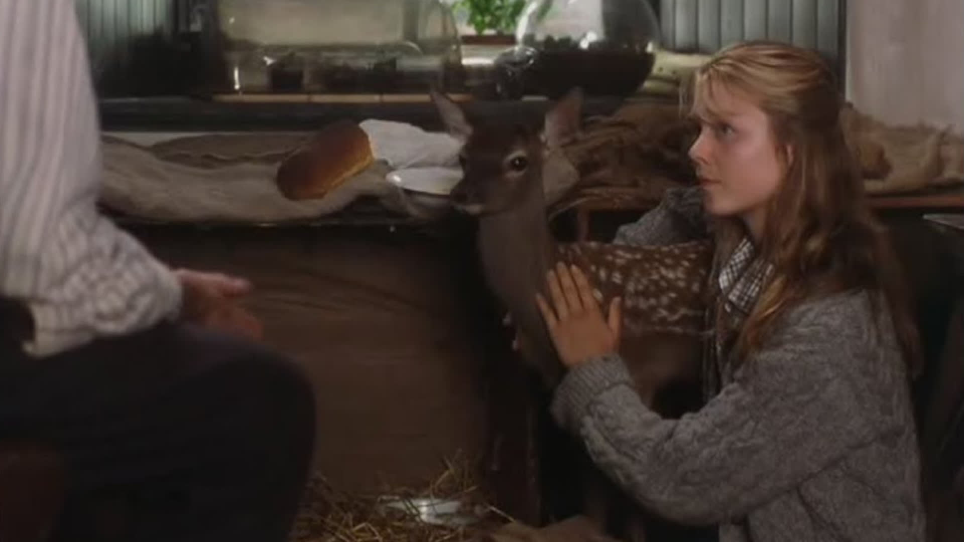 Watch Princess Stallion for Free Online | Pluto TV