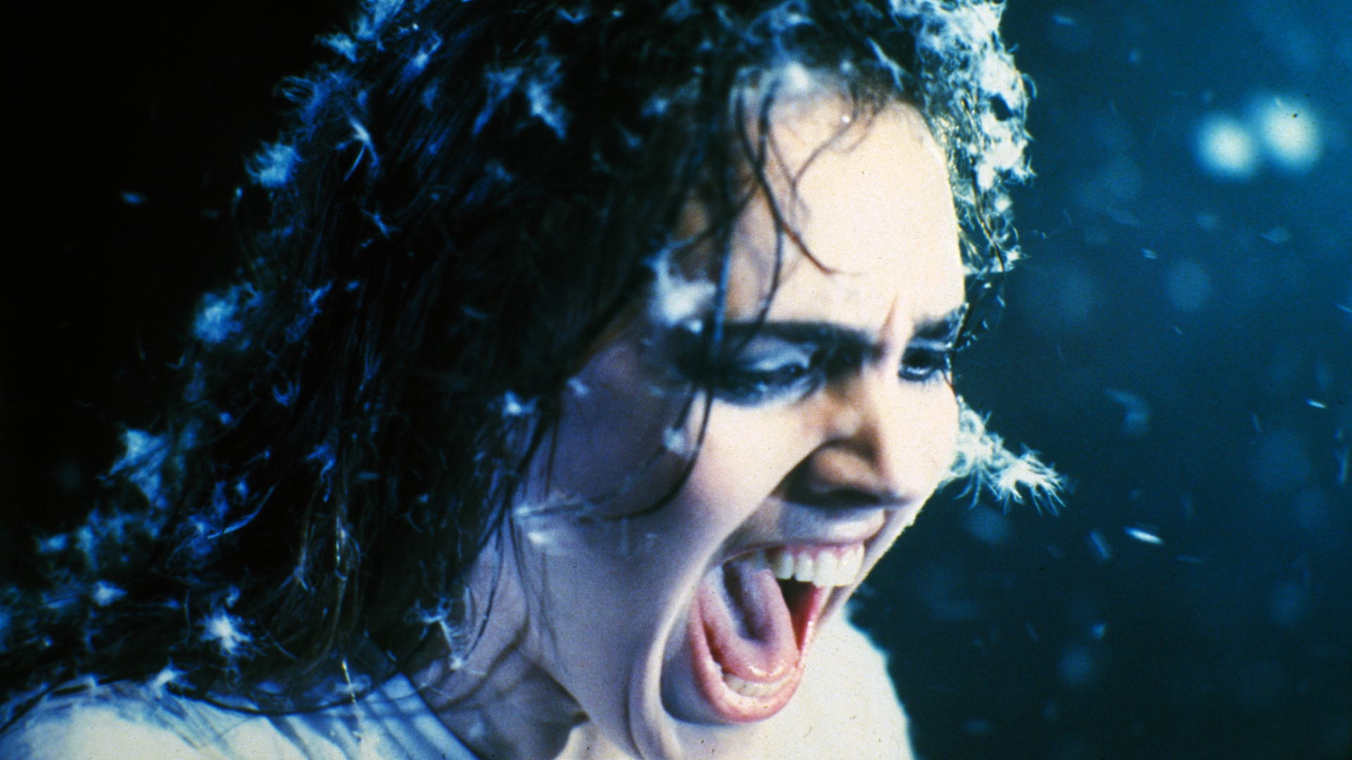Ver Hellraiser gratis en línea | Pluto TV