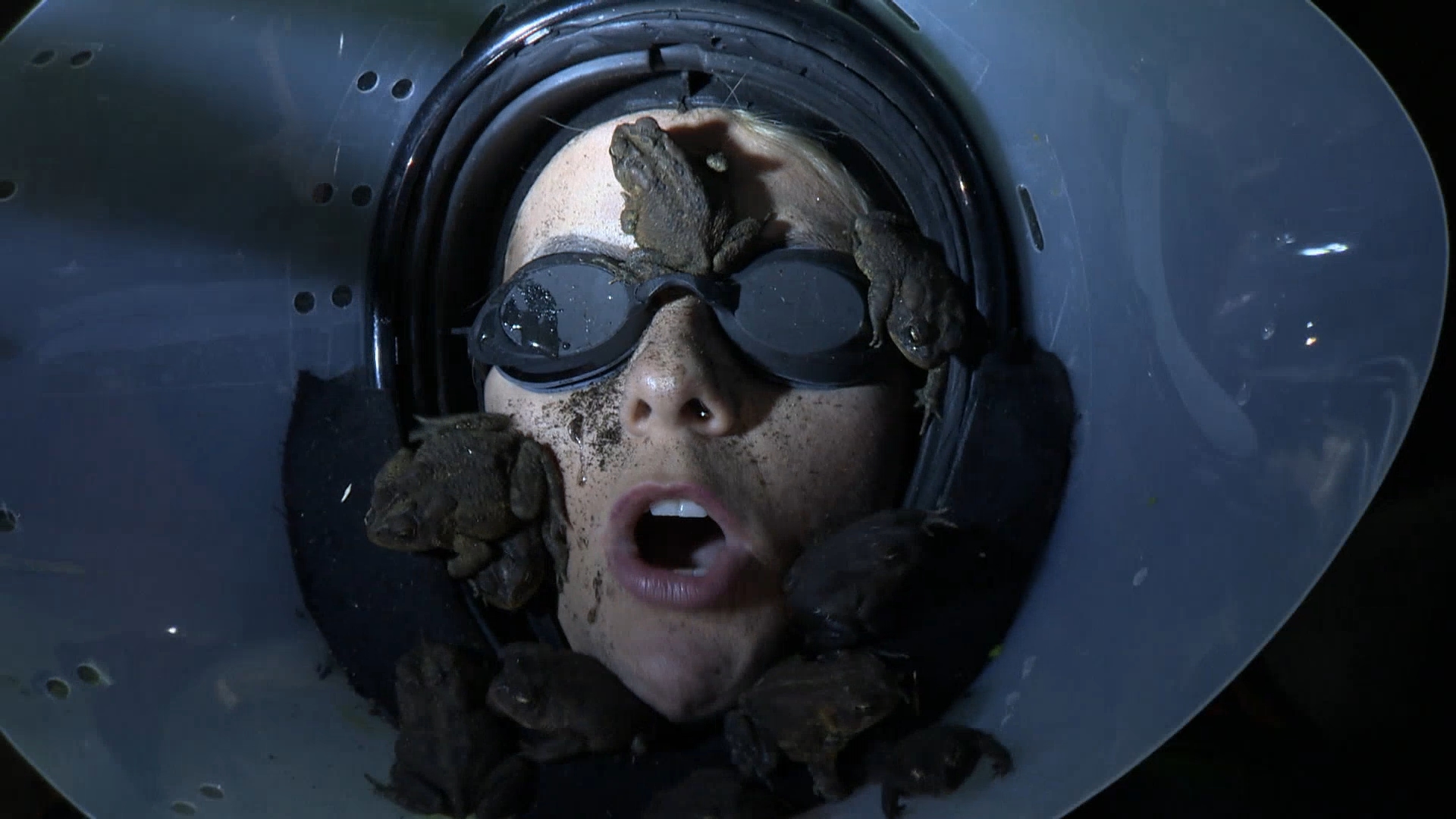 Ver Fear Factor MTV Temporada 1 Gratis | Pluto TV