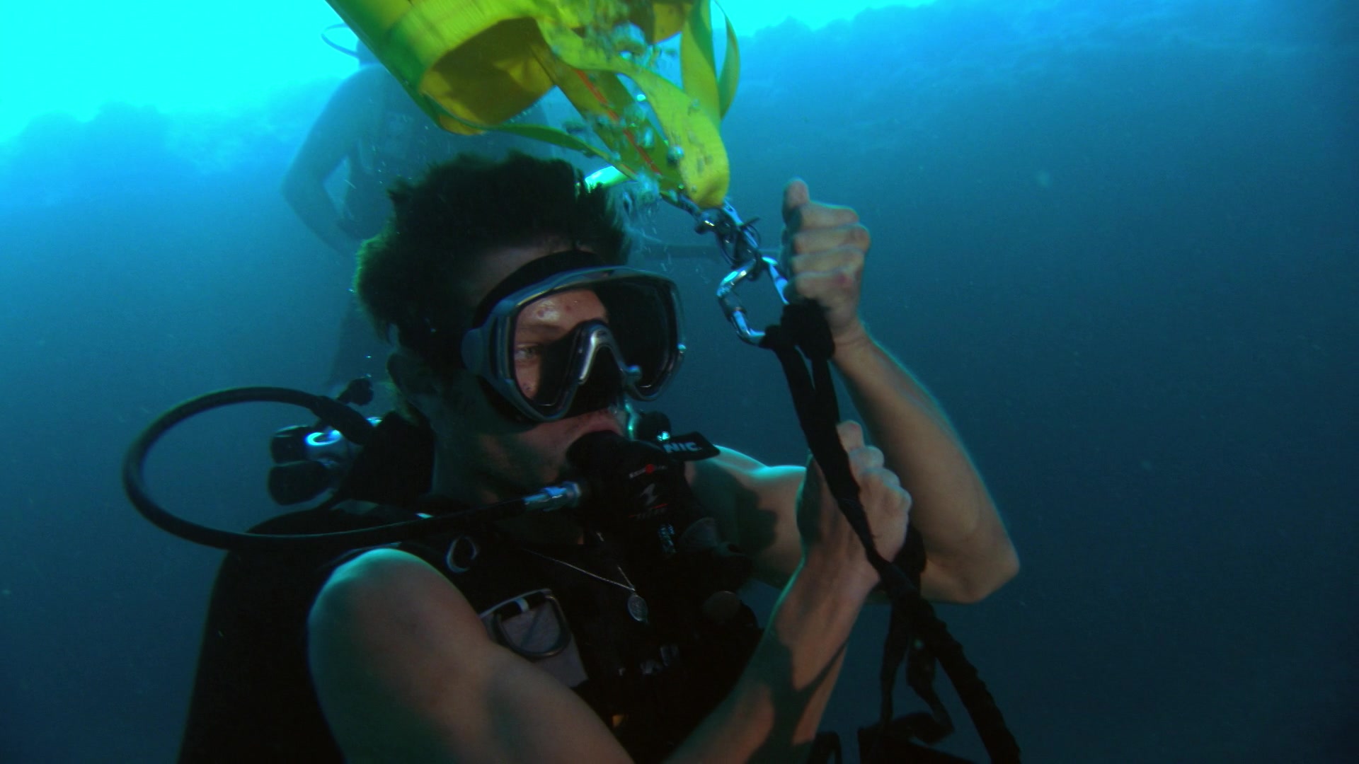 Watch Into the Blue 2: The Reef for Free Online | Pluto TV
