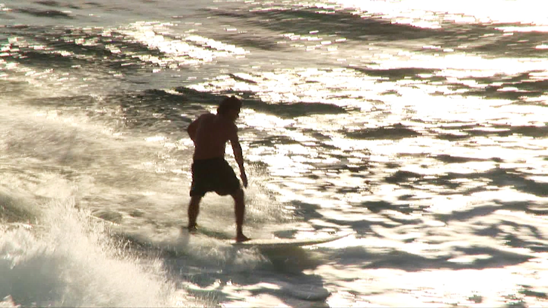 Watch BoardHeads for Free Online | Pluto TV