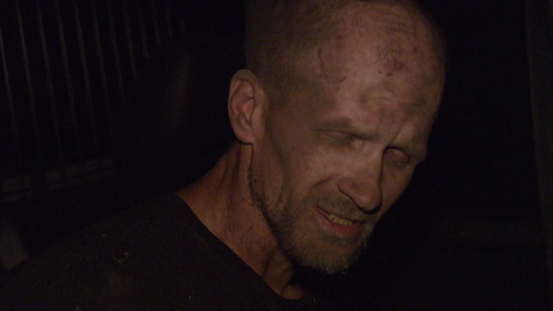 COPS Season 31 - Pluto TV