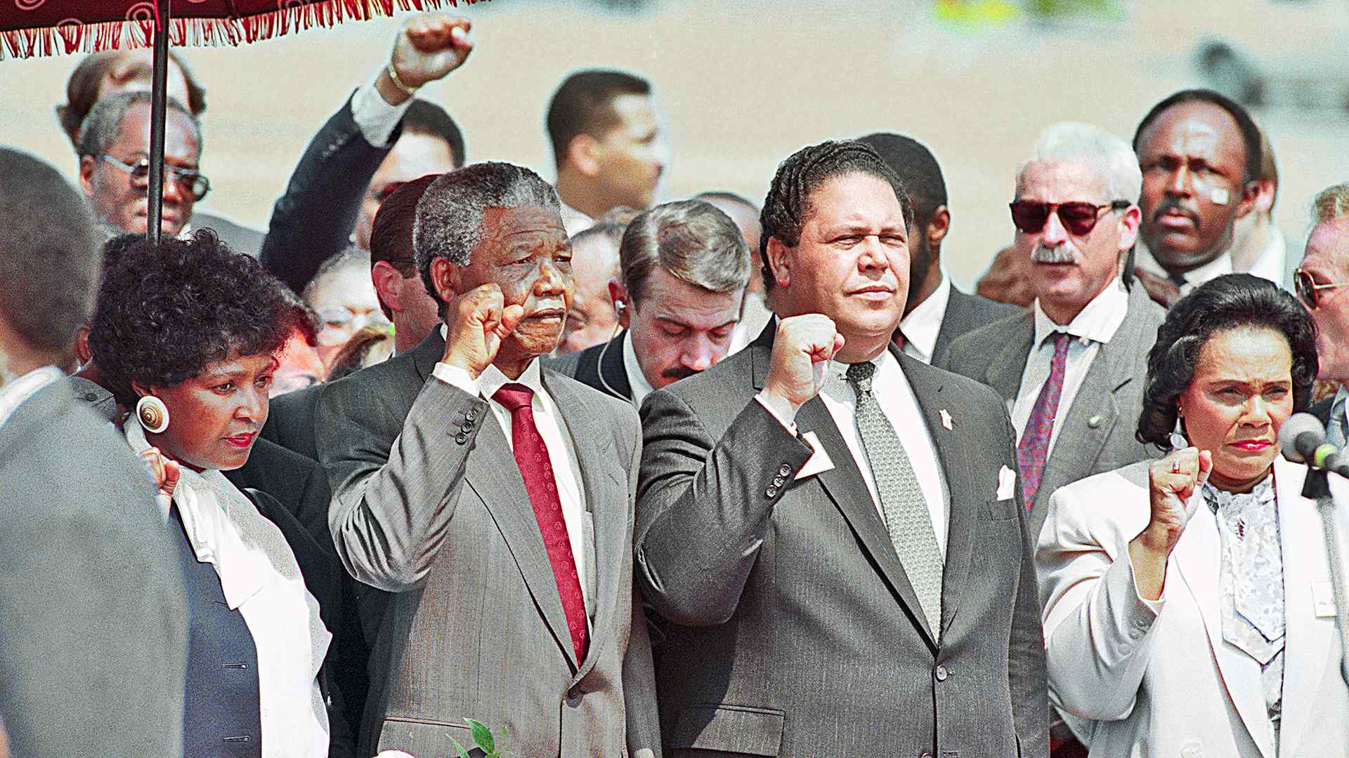 Watch Maynard for Free Online | Pluto TV