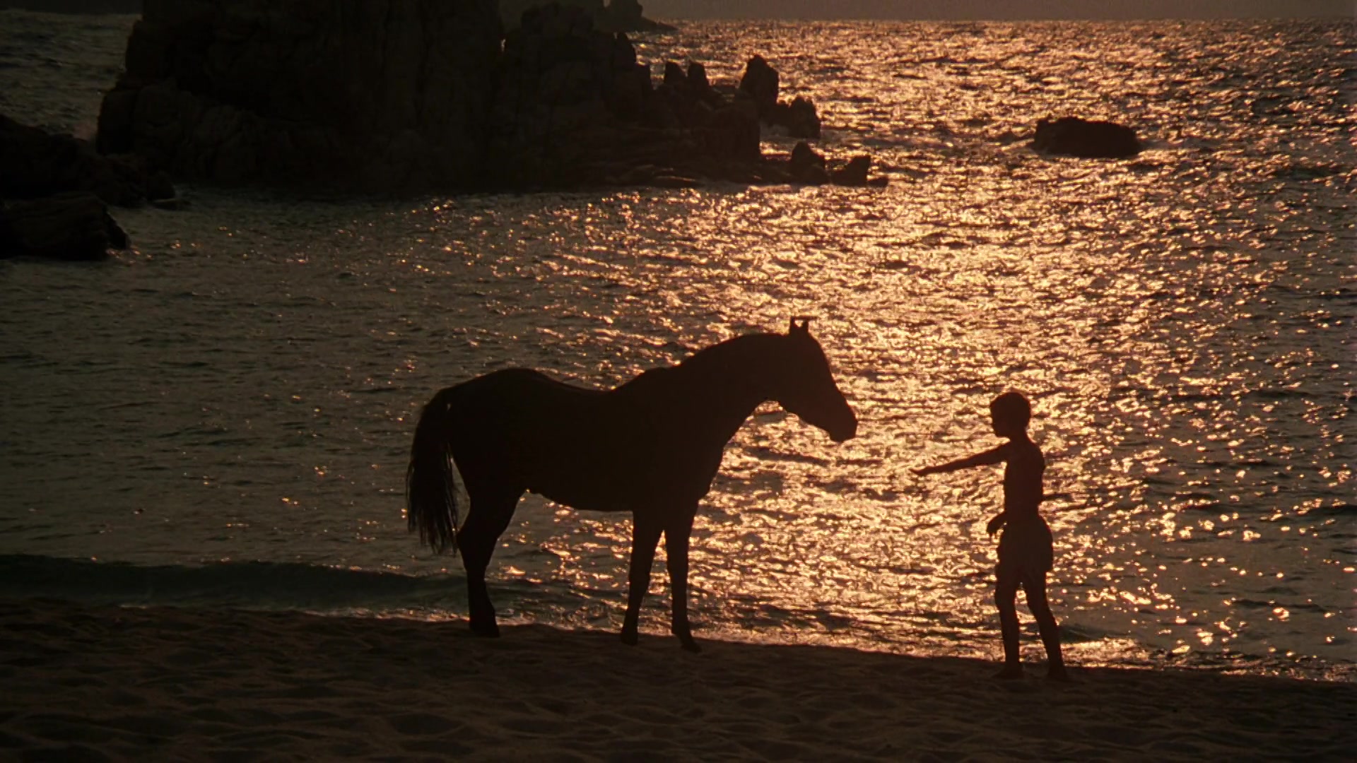 Watch El corcel negro for Free Online | Pluto TV