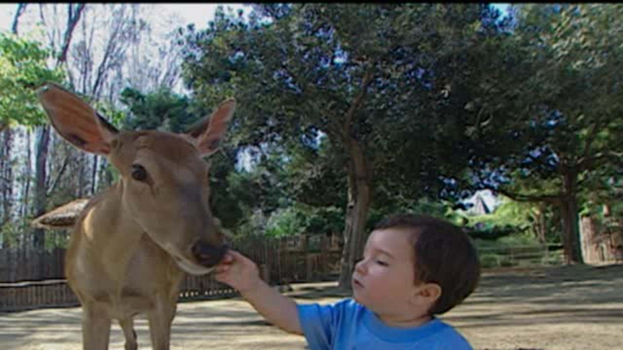 Watch Baby Genius Season 1 Free | Pluto TV