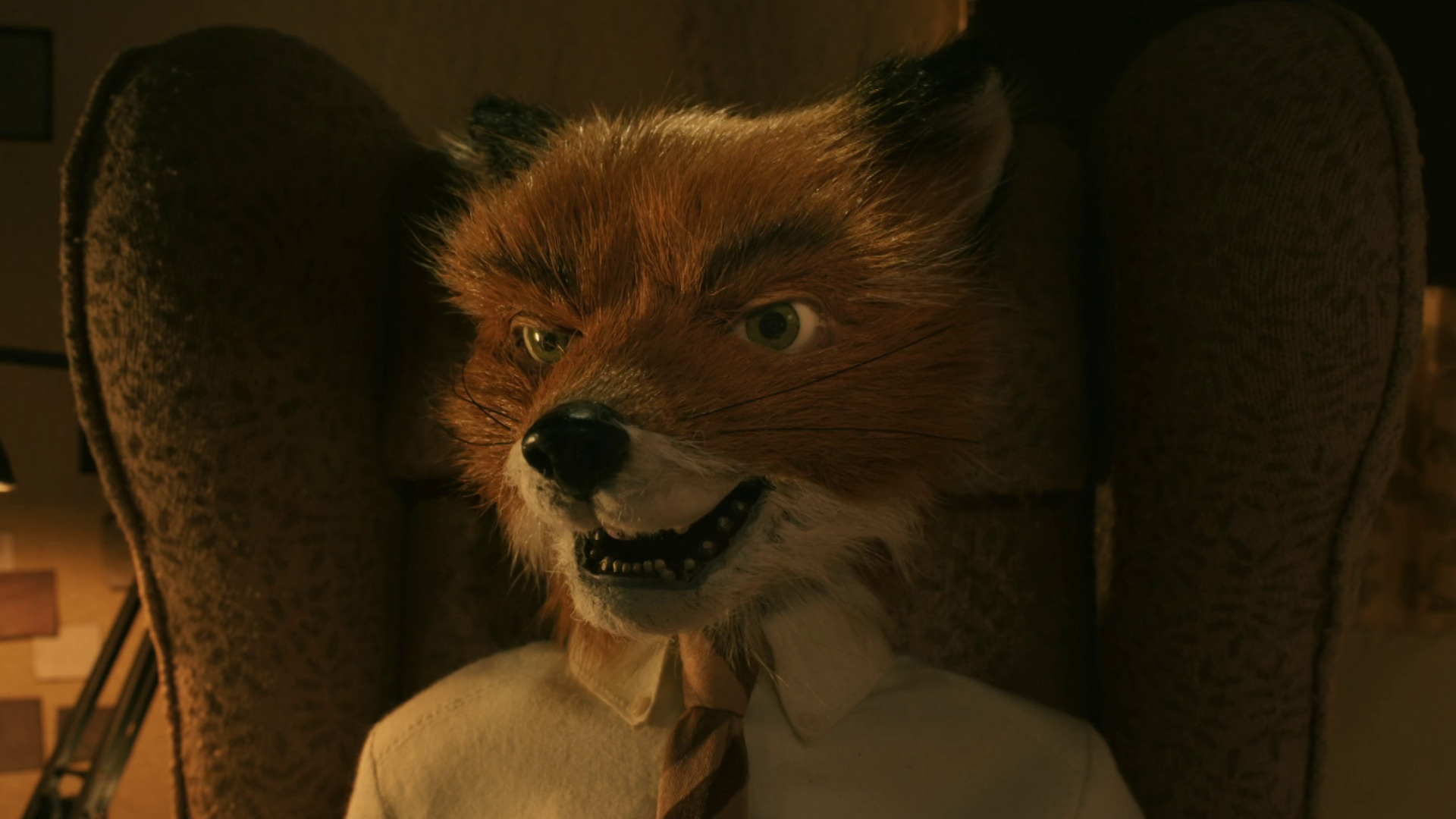 Guarda Fantastic Mr. Fox gratis online | Pluto TV