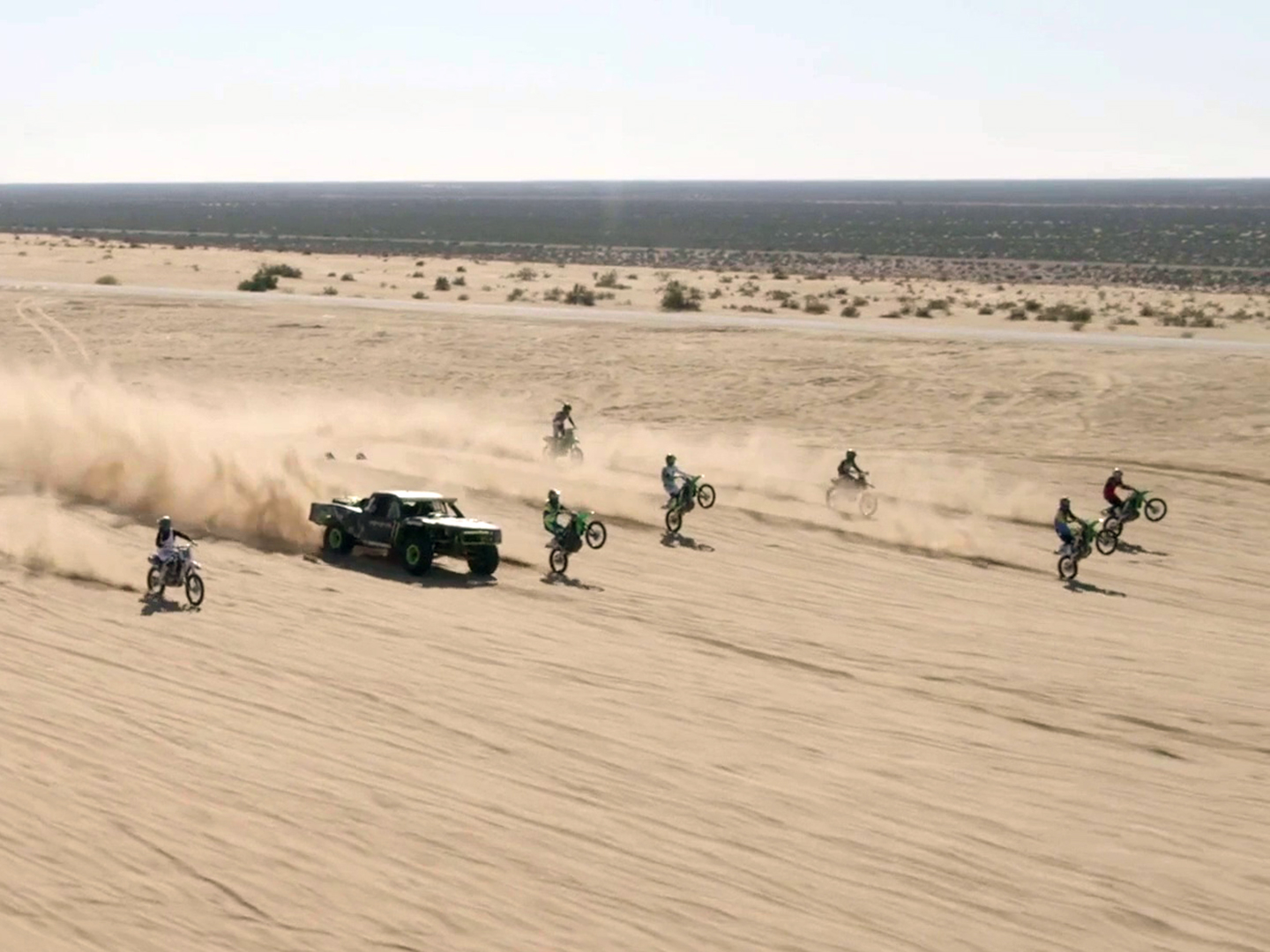 Watch The Doonies for Free Online | Pluto TV