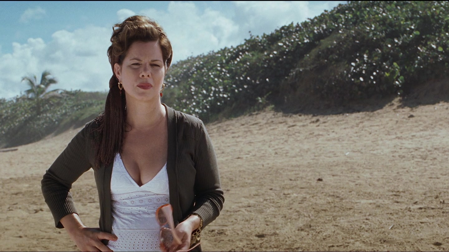 Watch The Maiden Heist for Free Online | Pluto TV