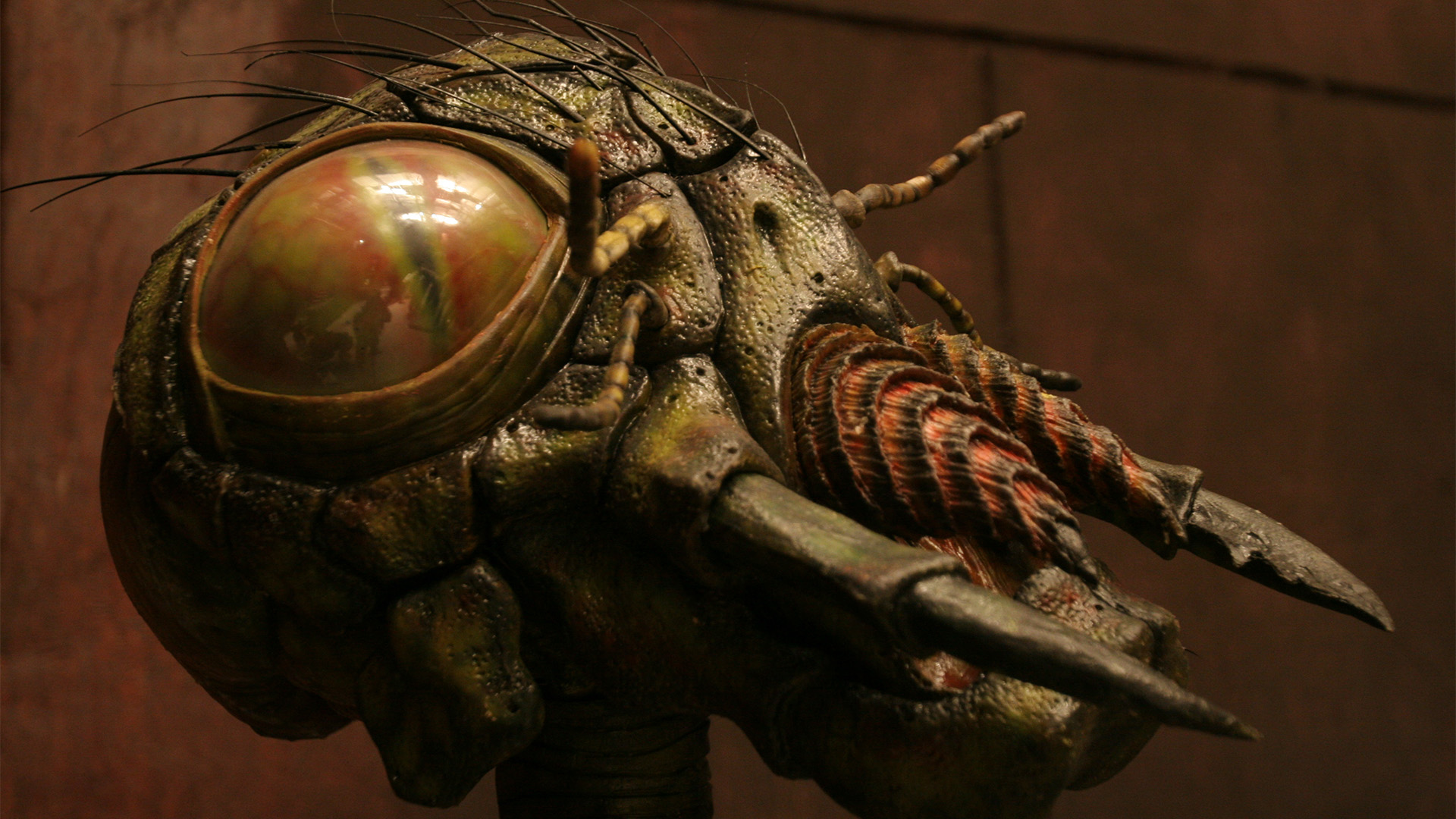 Watch Planet Raptor for Free Online | Pluto TV