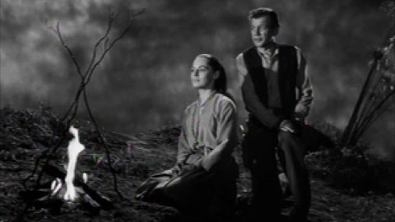 Watch The Halliday Brand for Free Online | Pluto TV