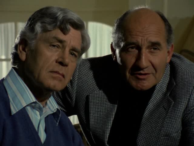 Watch The Professionals Season 1 Free | Pluto TV