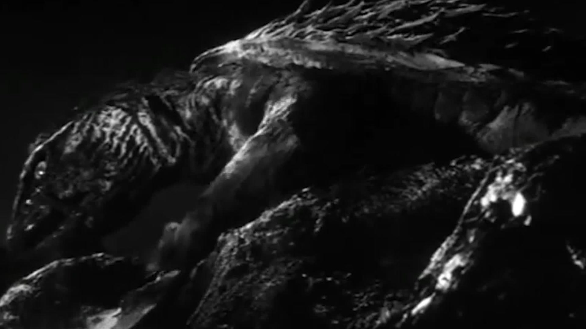 Watch Gamera: The Giant Monster for Free Online | Pluto TV
