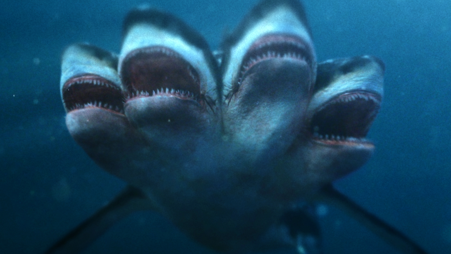 Guarda 5-Headed Shark Attack gratis online | Pluto TV