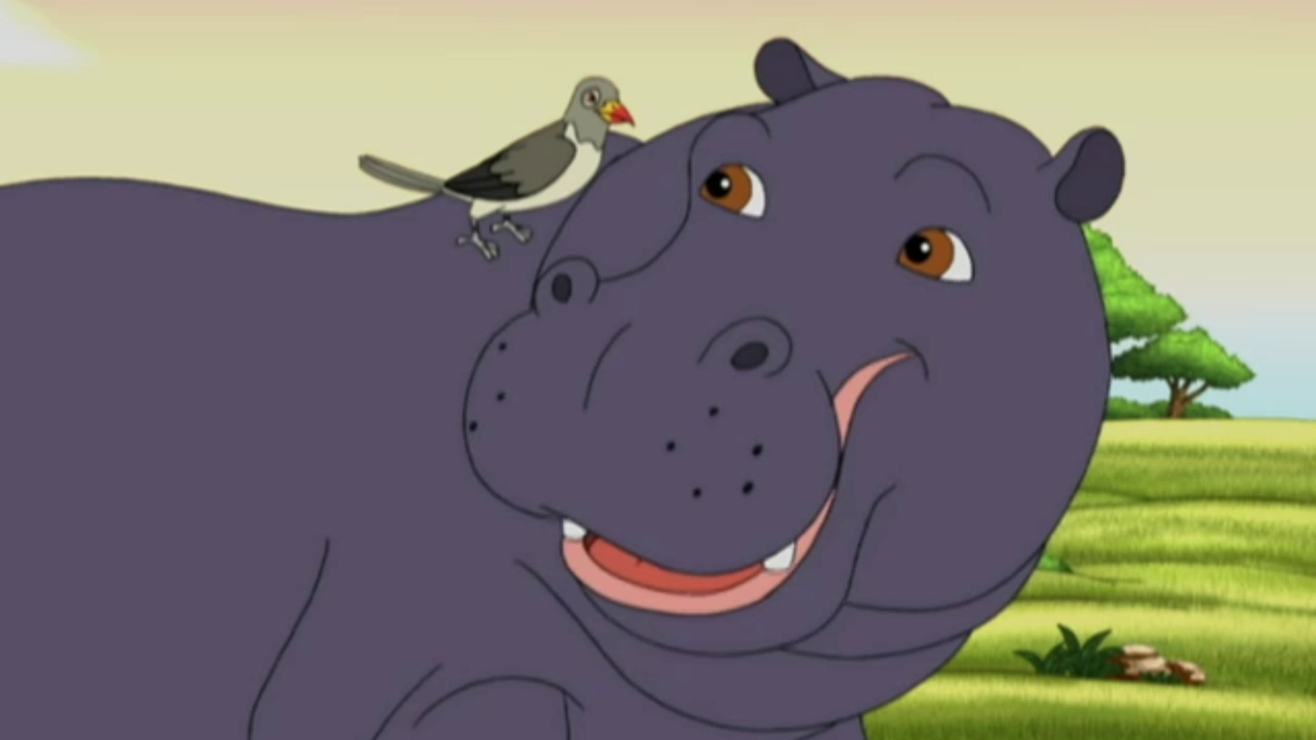 Ver Go Diego Go LT Temporada 4 Gratis | Pluto TV