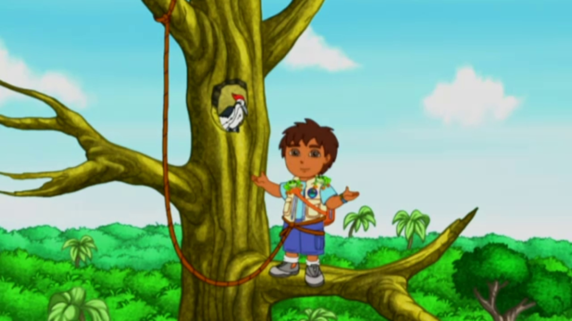 Ver Go Diego Go LT Temporada 3 Gratis | Pluto TV