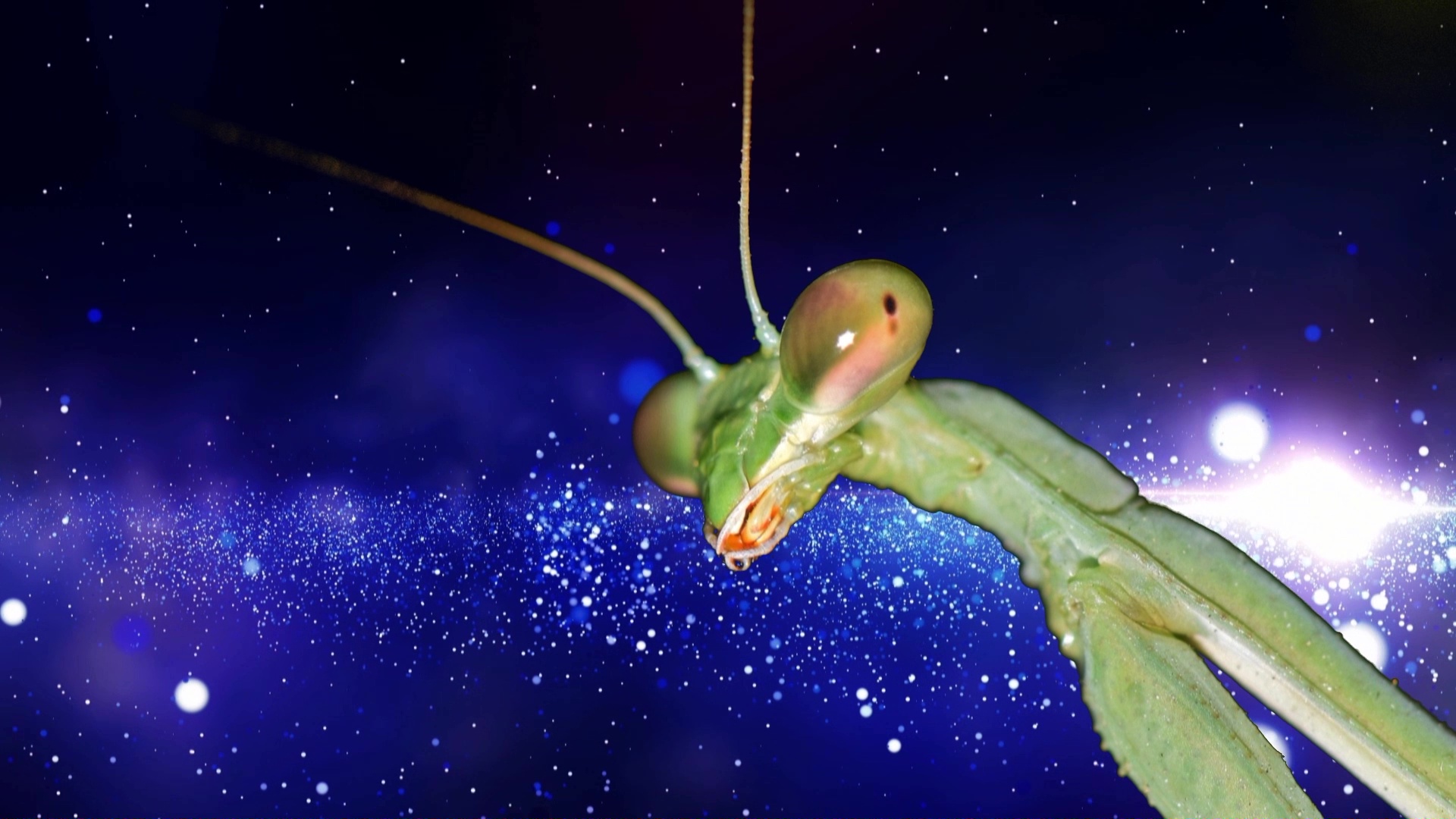 Watch Alien Contact Outer Space for Free Online | Pluto TV