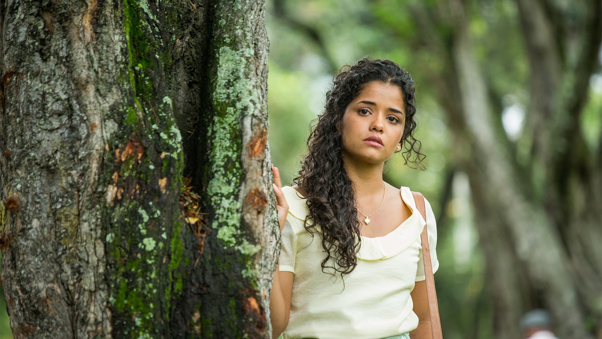 Ver La Ronca de Oro Temporada 1 Gratis | Pluto TV