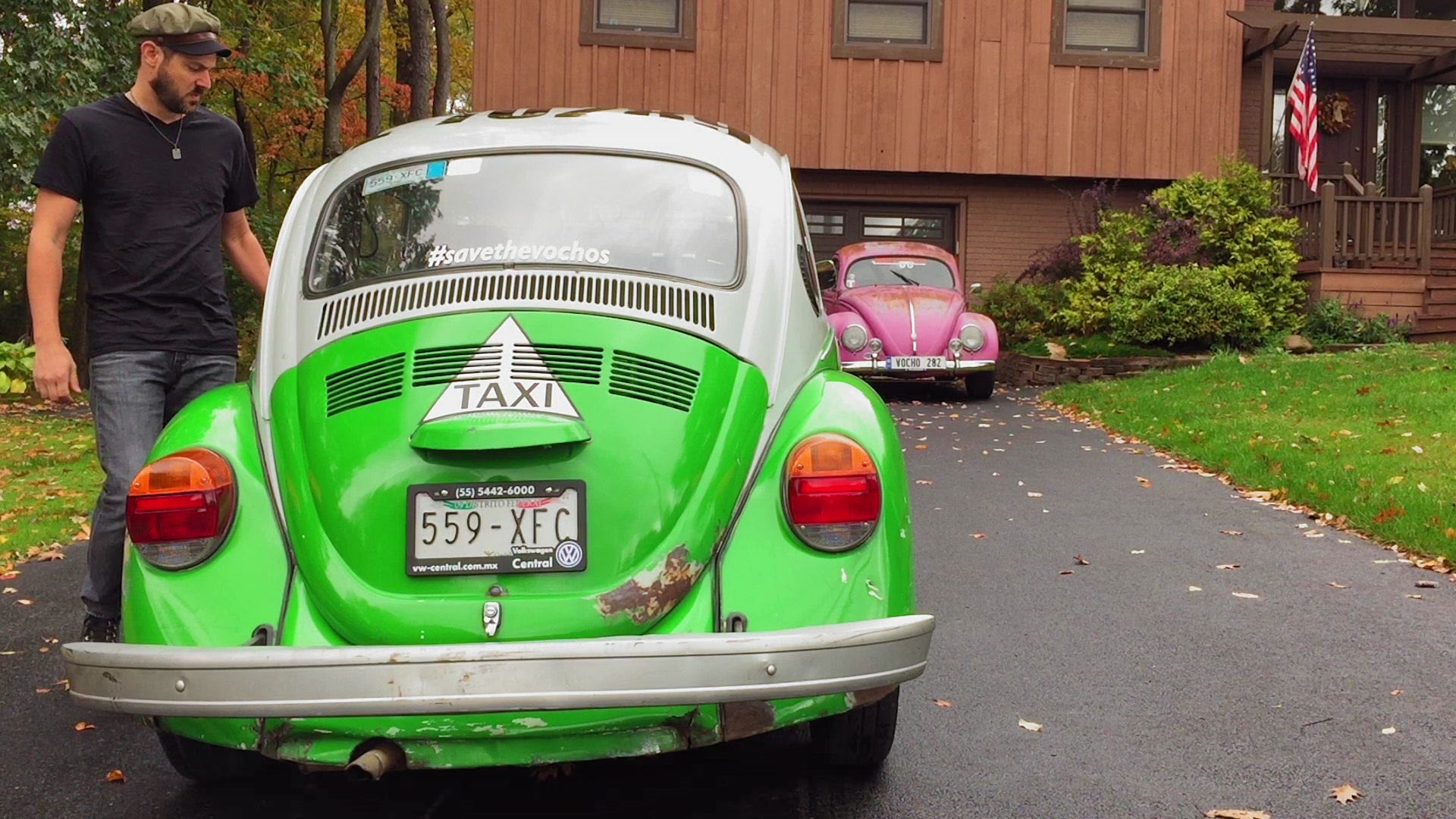 Watch The Bug: Life And Times Of The People's Car for Free Online ...