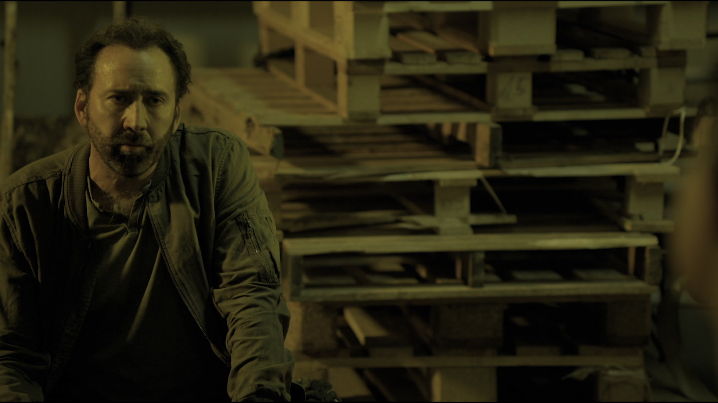 Watch Primal (2019) for Free Online | Pluto TV