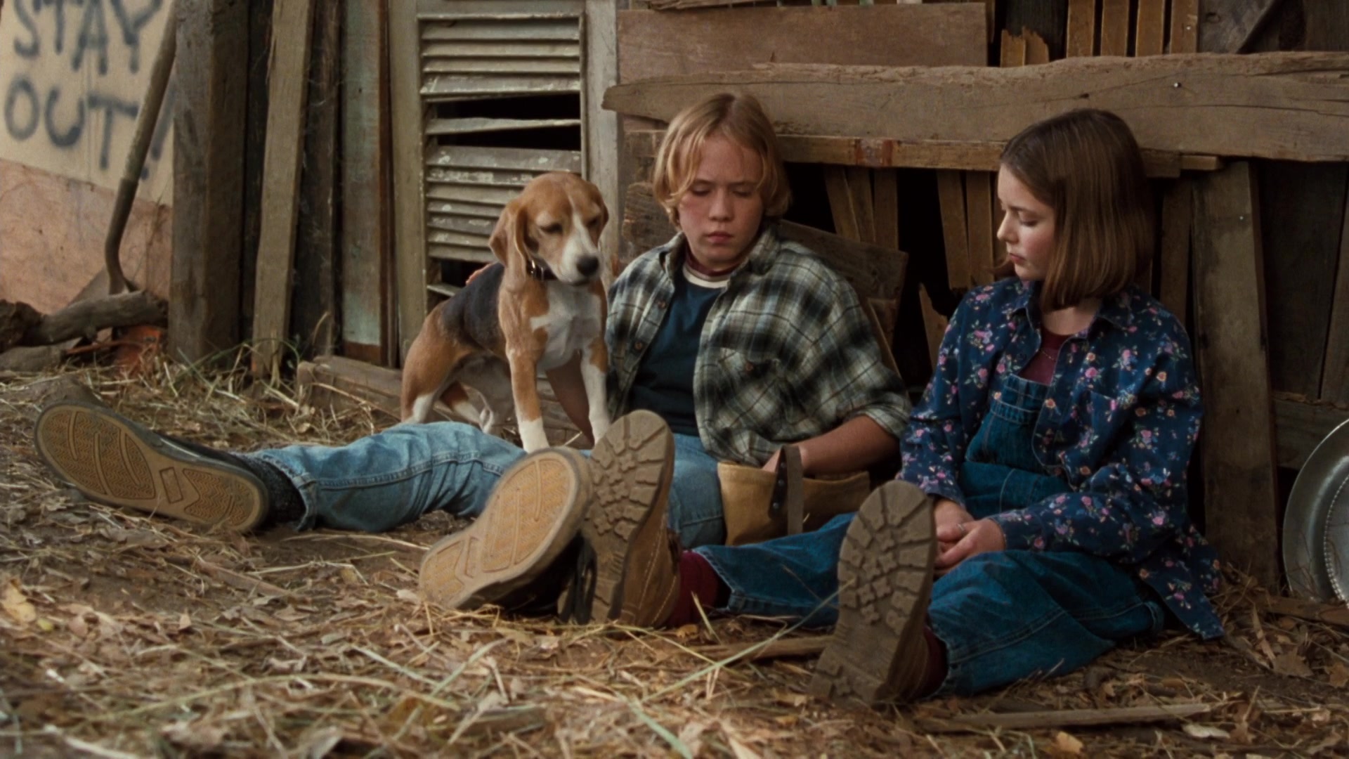 Watch Shiloh for Free Online | Pluto TV