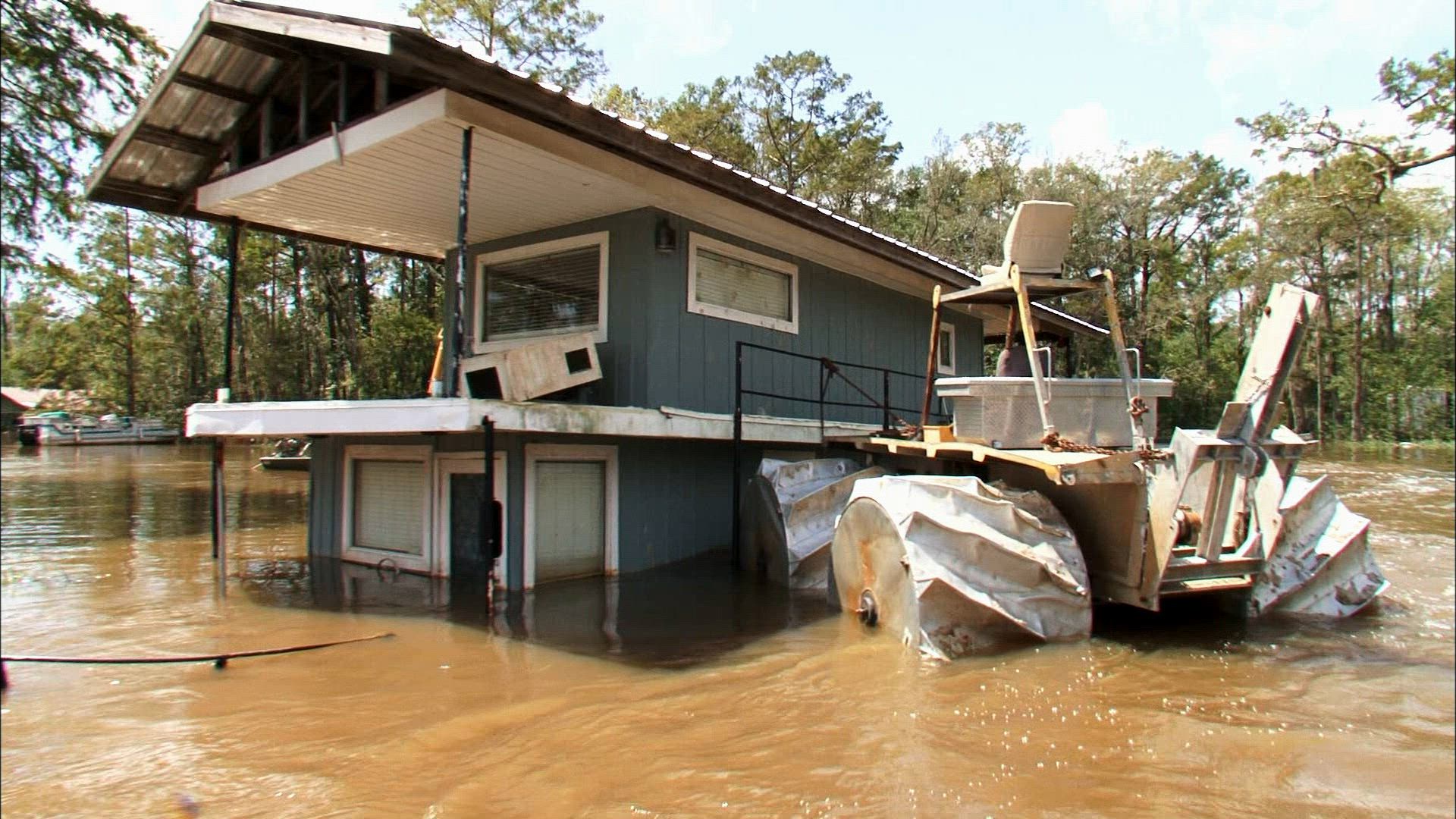 Watch The Legend of Shelby the Swamp Man Season 1 Free | Pluto TV