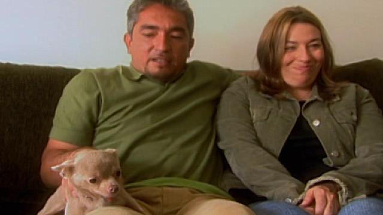 Watch Dog Whisperer with Cesar Millan Season 1 Free | Pluto TV