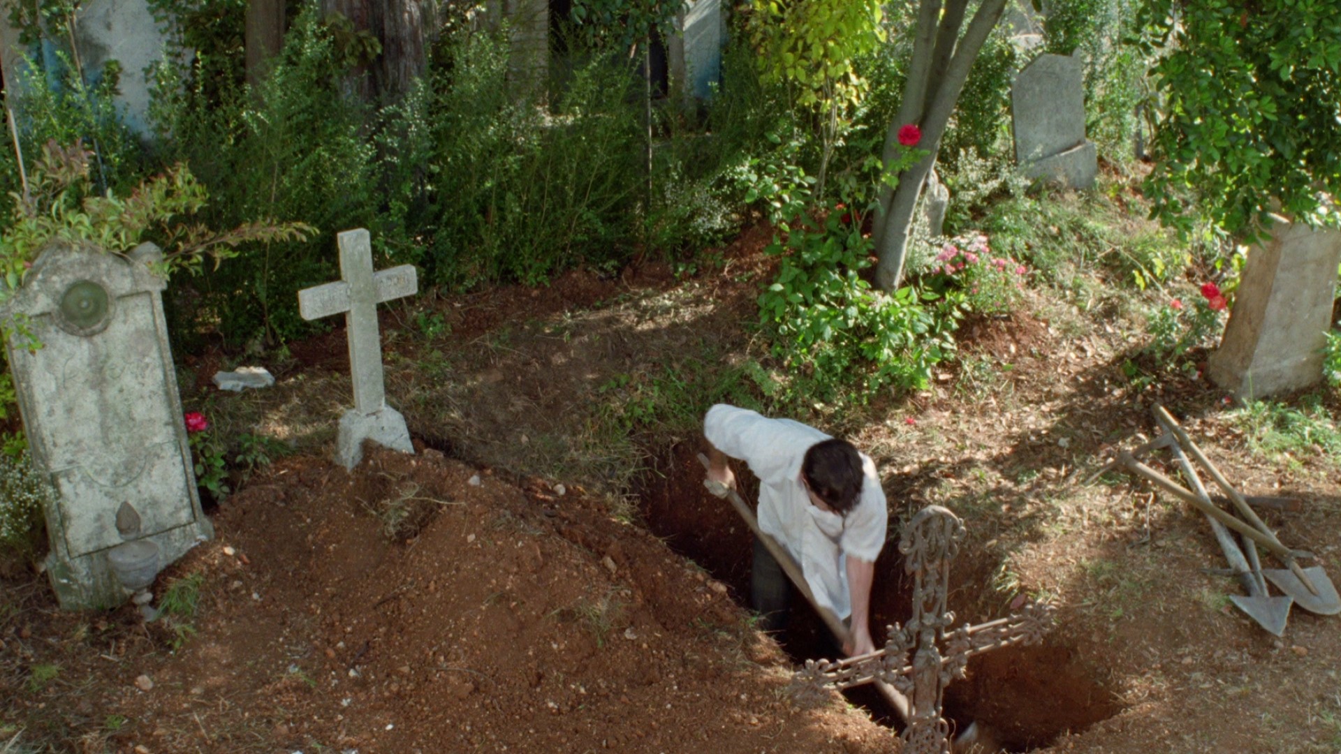 Watch Cemetery Man for Free Online | Pluto TV