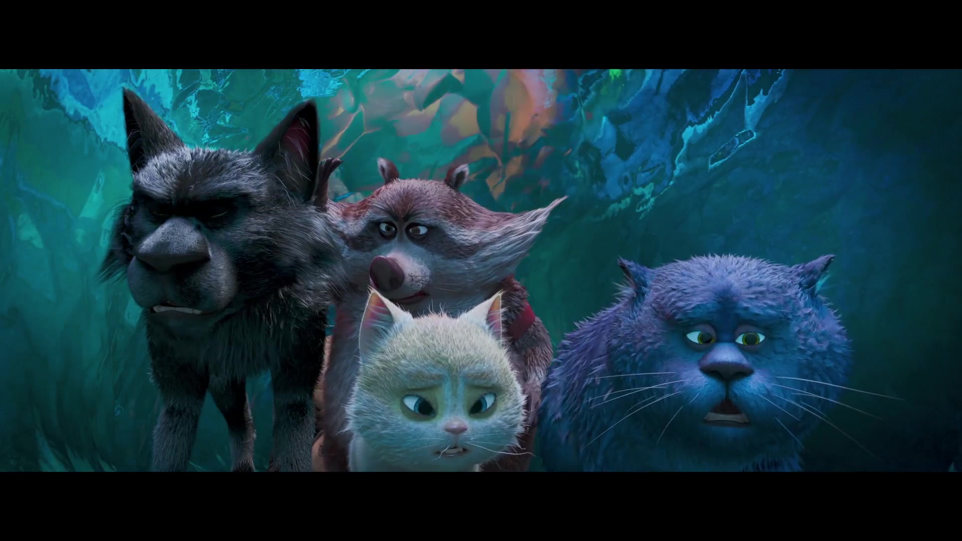 Watch Cats for Free Online | Pluto TV