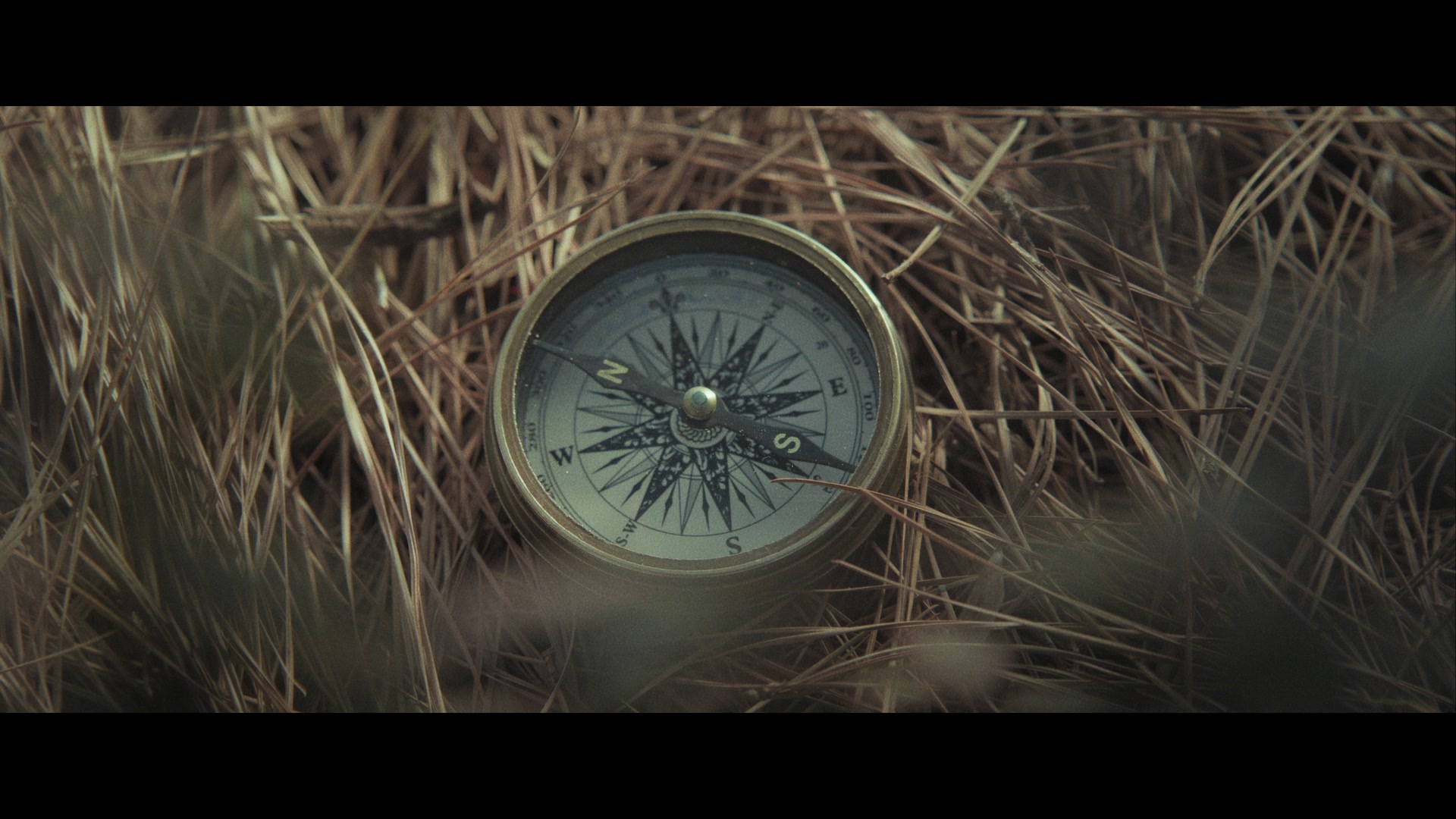 Watch Adam the First for Free Online | Pluto TV