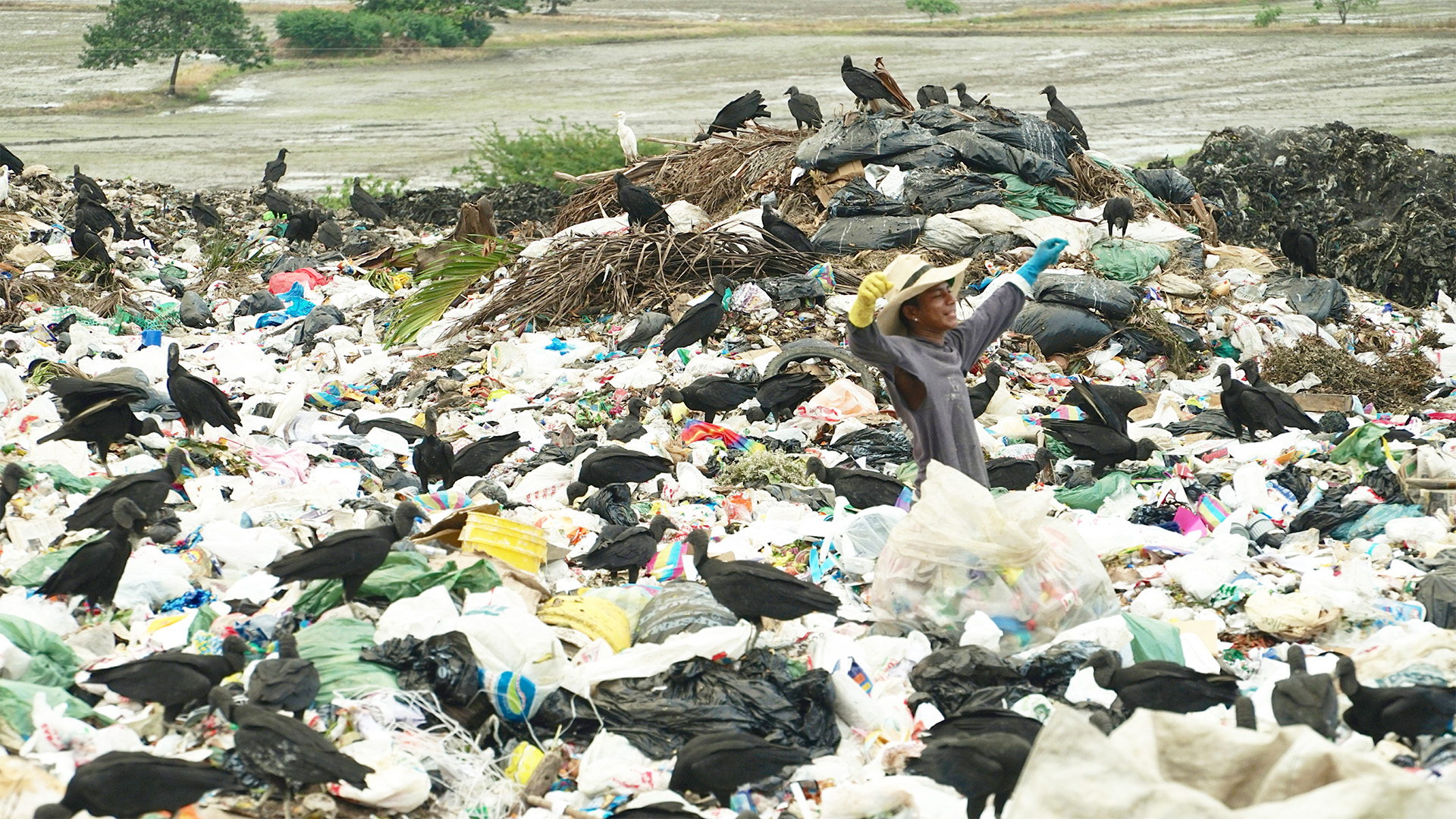 Watch planet e.: UN Millennium Goals - Along the Poverty Line for Free ...