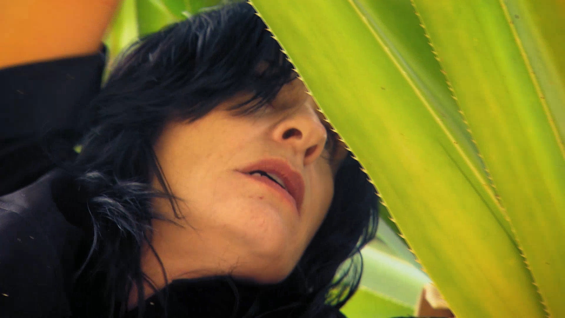 Watch Snake Boss Season 1 Episode 7 | Pluto TV