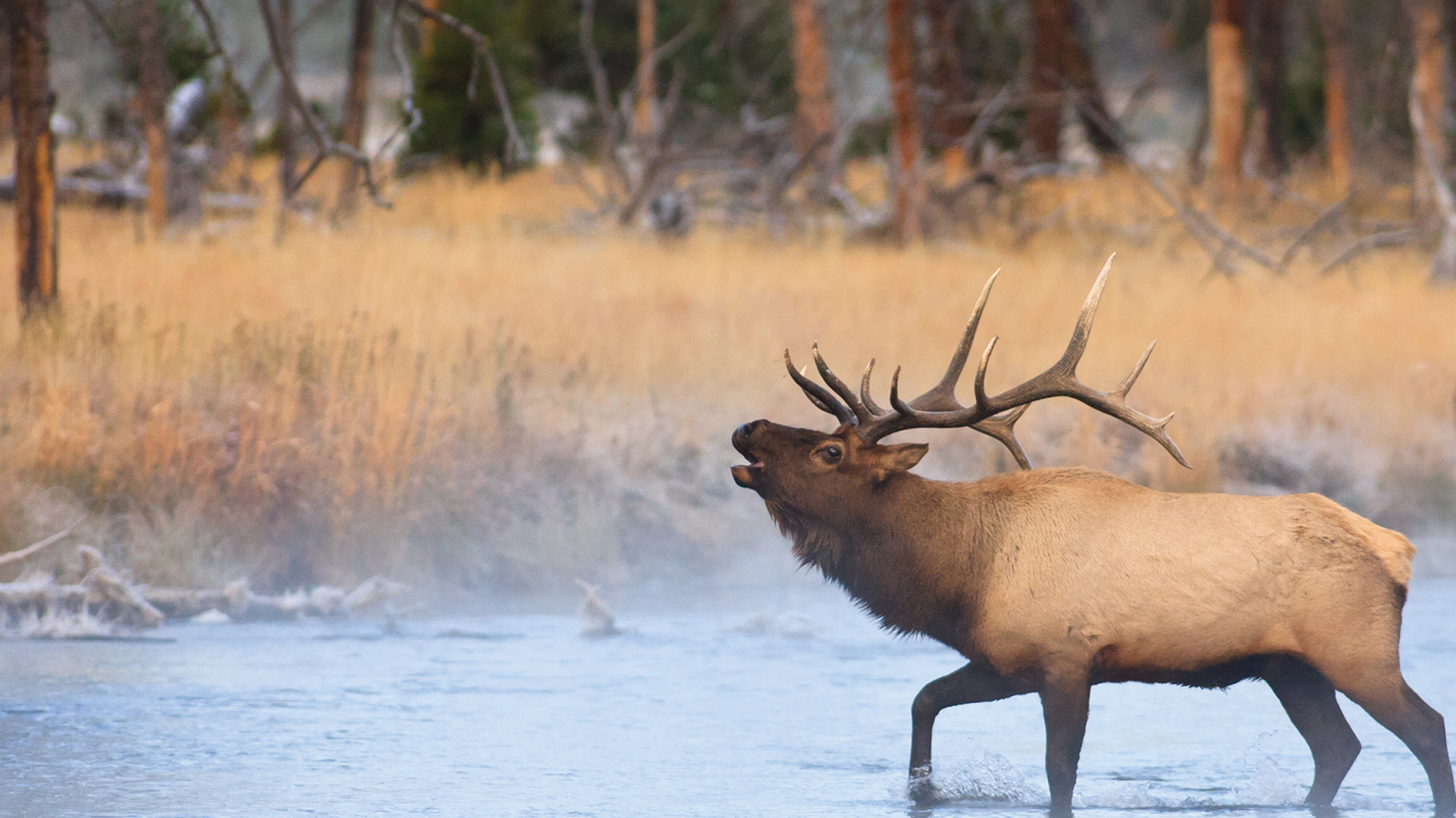 Great Lakes Wild Temporada 1 Episódio 102 | Pluto TV
