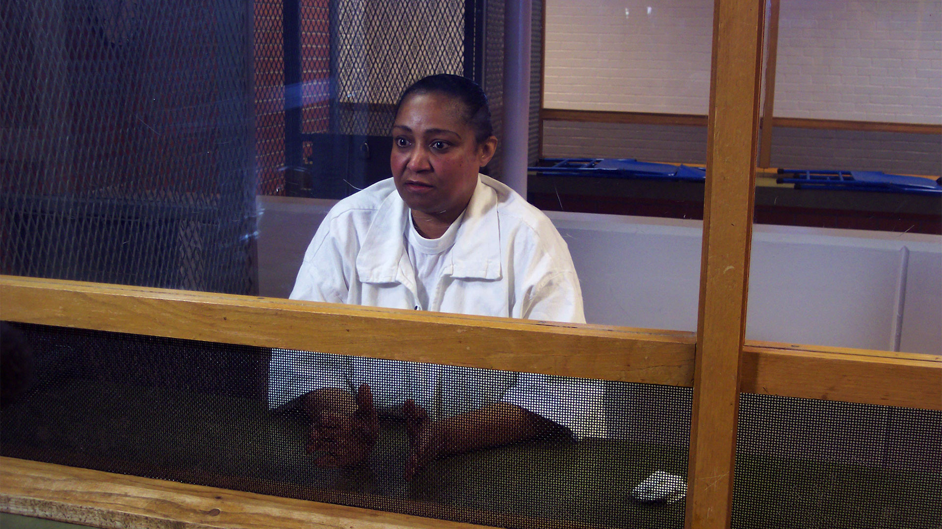 Watch On Death Row Season 1 Free | Pluto TV