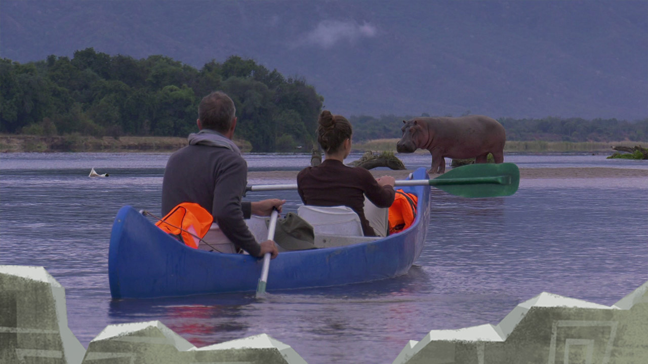 Watch Epic Safari Destinations Season 1 Free | Pluto TV