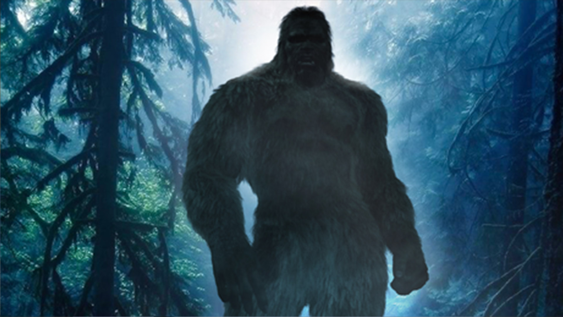 Watch Chasing Bigfoot Season 1 Free | Pluto TV