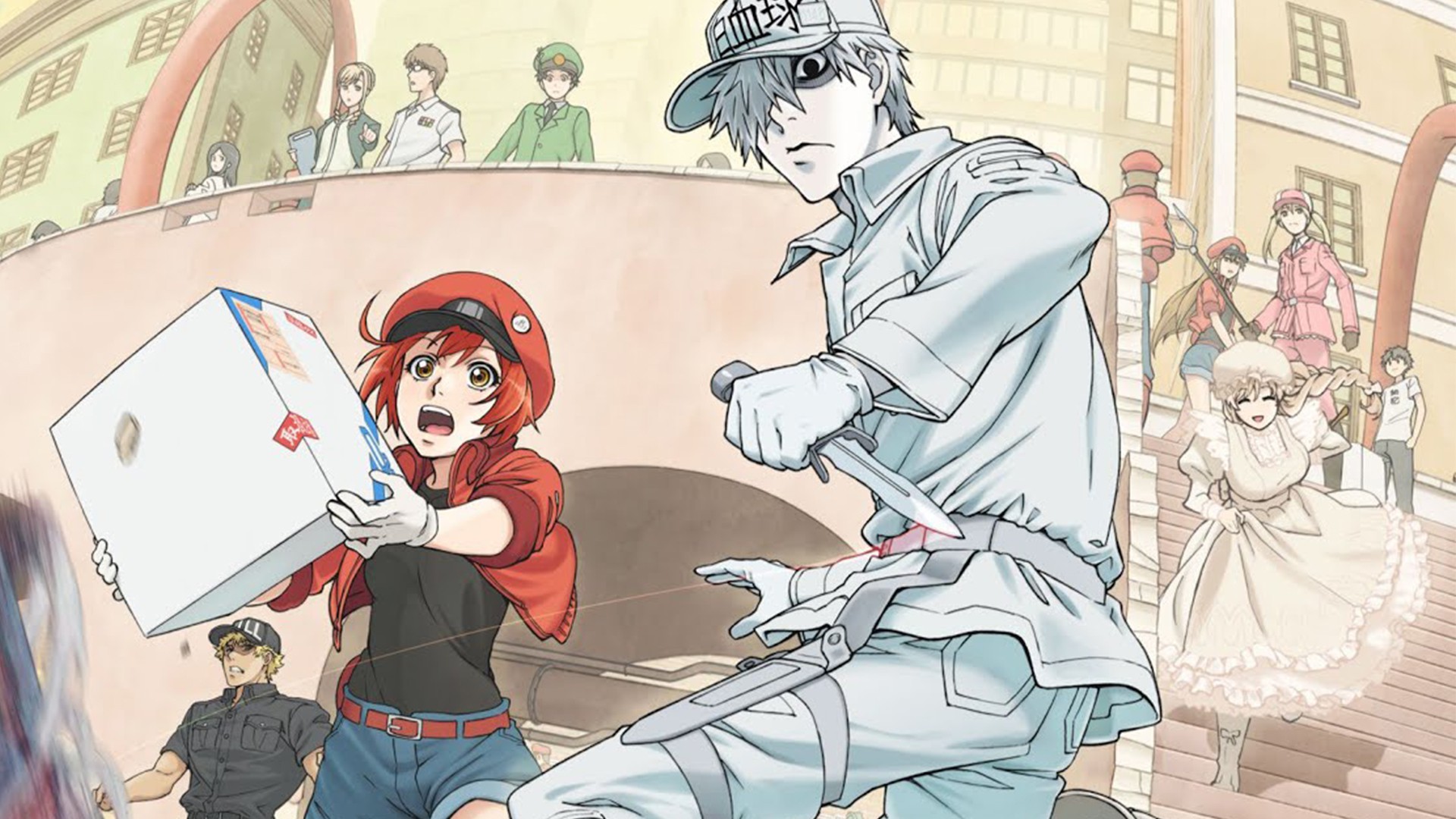 Cells at Work! ES - Watch Free on Pluto TV Spain