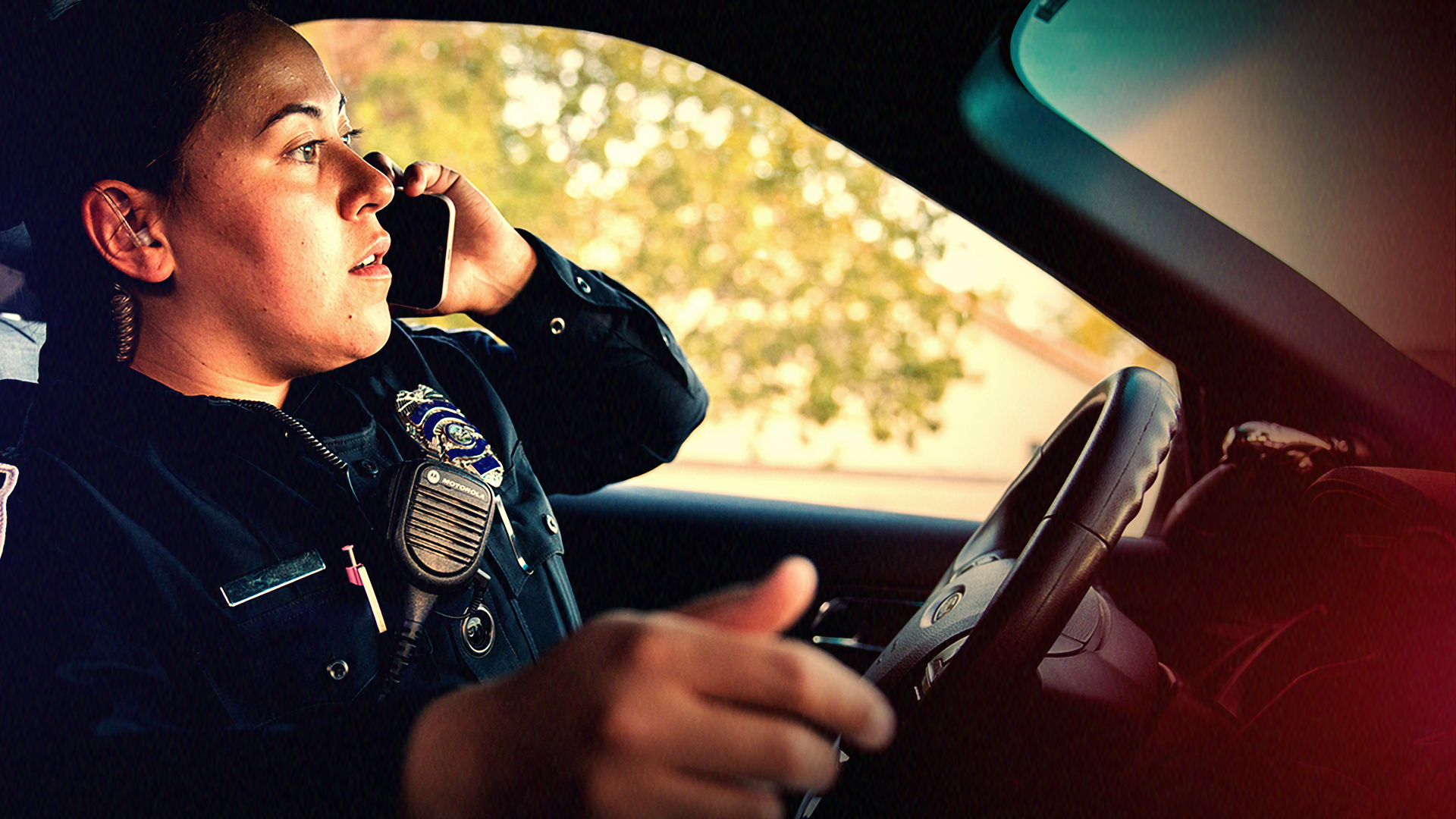 Cops Season 31 Pluto Tv