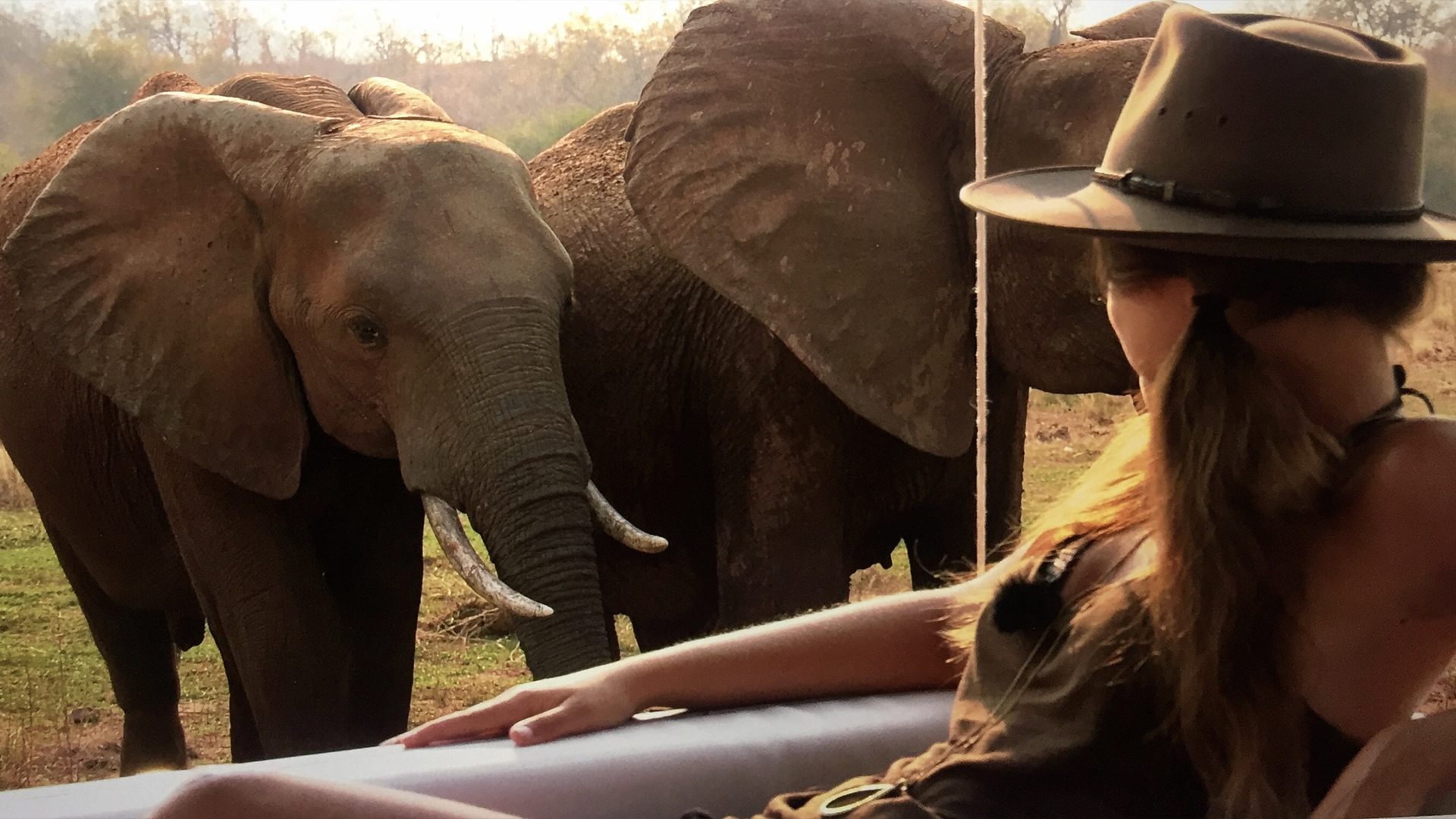 Watch EPIC SAFARI DESTINATIONS Season 1 Free | Pluto TV