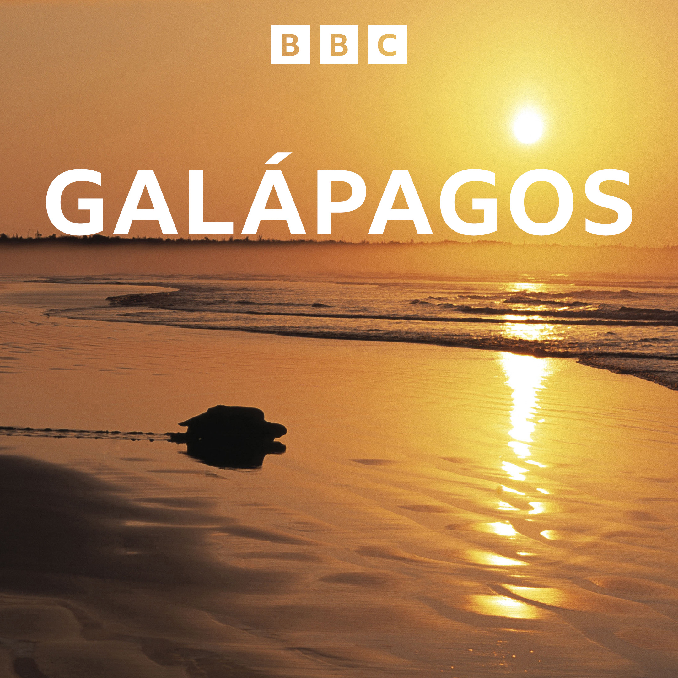 Watch Animals + Nature for Free - Free Movies & TV | Pluto TV