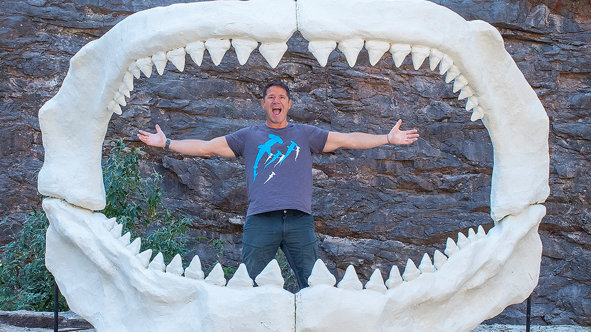 Watch Deadly Predators for Free Online | Pluto TV